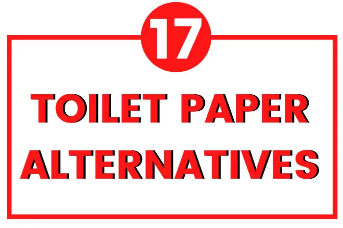 Toilet Paper Alternatives [17 Substitutes]
